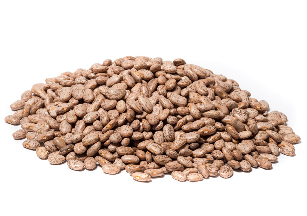 Pinto Beans, Organic, 1 lb.